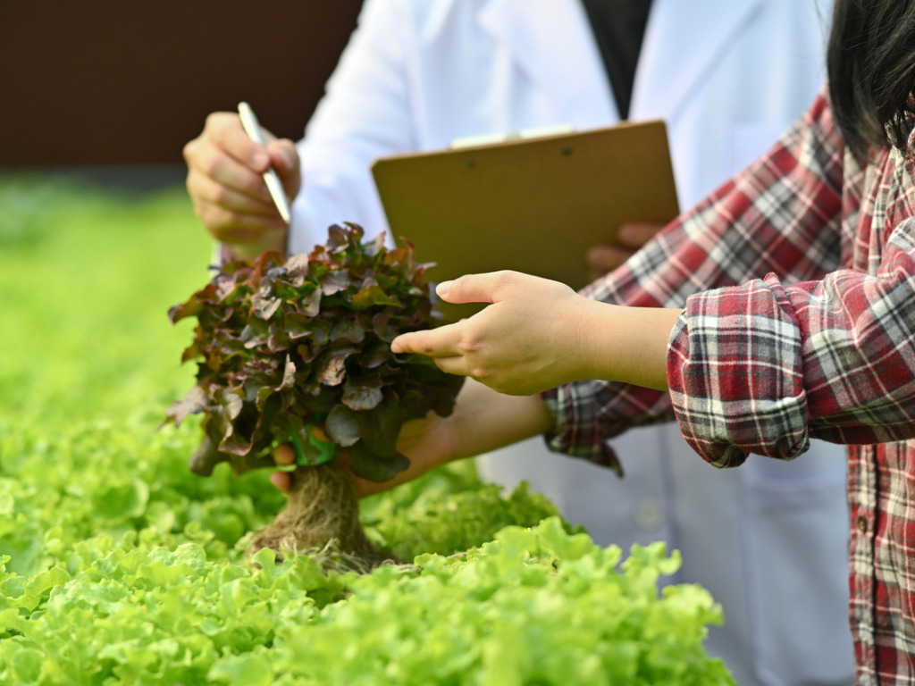 Leltározás és mezei leltár őstermelőknél